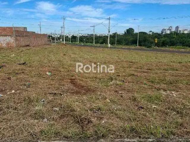 Terreno / Lote para Venda em Uberlândia/MG Laranjeiras