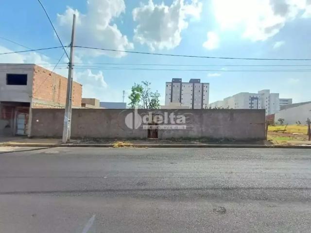 Terreno / Lote para Venda em Uberlândia/MG Laranjeiras