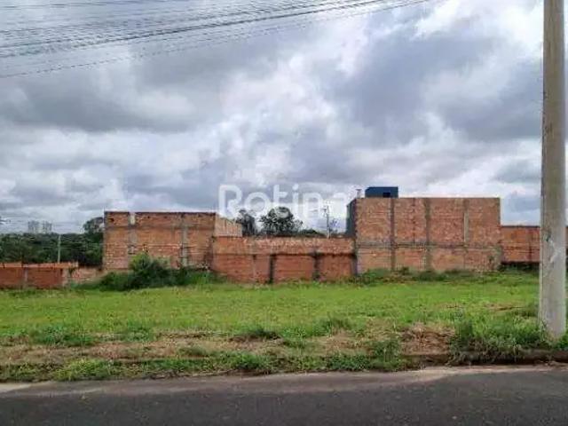 Terreno / Lote para Venda em Uberlândia/MG Laranjeiras