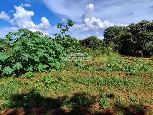 Terreno / Lote para Venda em Uberlândia/MG Morada Nova