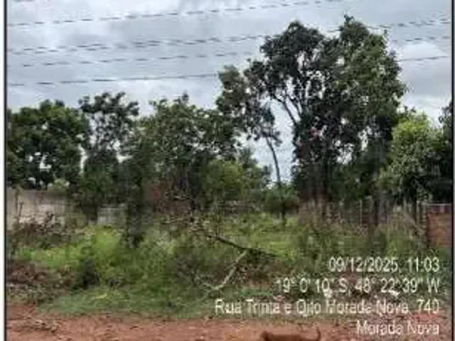 Terreno / Lote para Venda em Uberlândia/MG Morada Nova