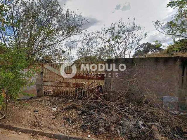 Terreno / Lote para Venda em Uberlândia/MG Morada Nova