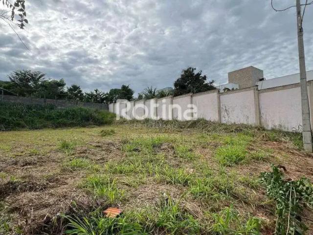 Terreno / Lote para Venda em Uberlândia/MG Morada da Colina