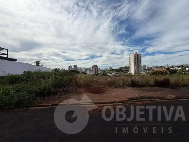 Terreno / Lote para Venda em Uberlândia/MG Morada da Colina