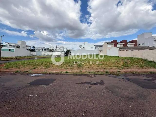 Terreno / Lote para Venda em Uberlândia/MG Morada da Colina