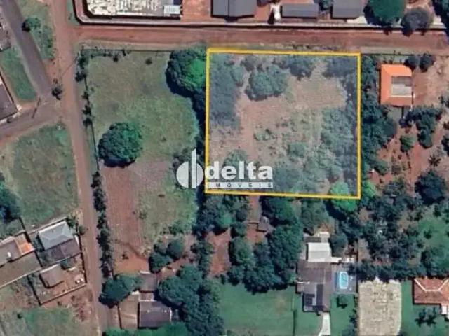 Terreno / Lote para Venda em Uberlândia/MG Morada dos Pássaros
