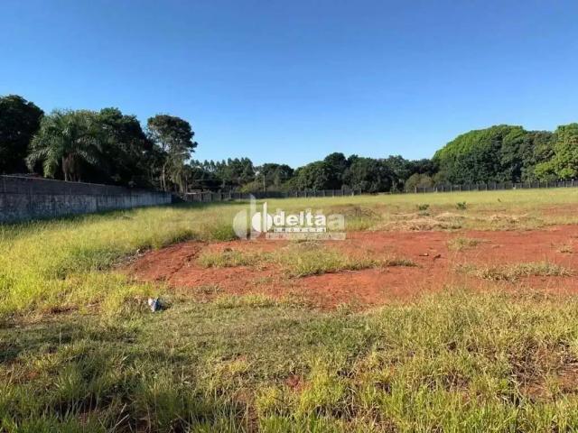 Terreno / Lote para Venda em Uberlândia/MG Morada dos Pássaros