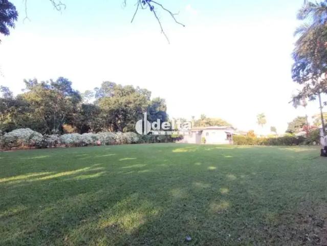 Terreno / Lote para Venda em Uberlândia/MG Morada dos Pássaros