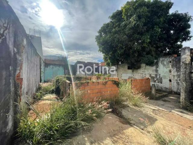 Terreno / Lote para Venda em Uberlândia/MG Morumbi