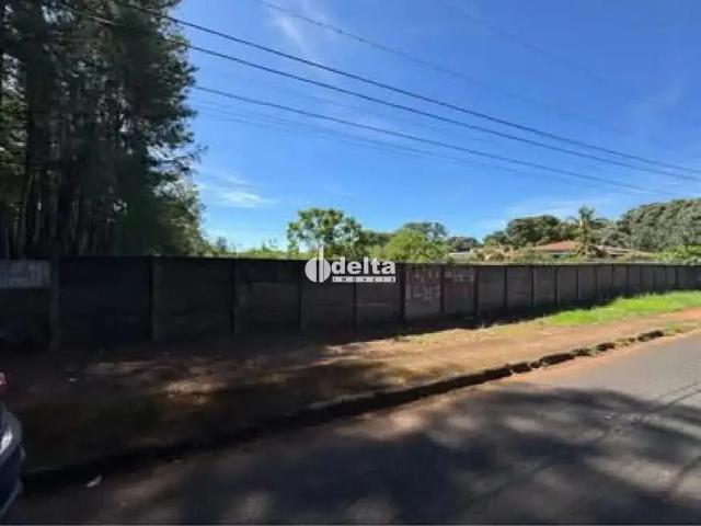 Terreno / Lote para Venda em Uberlândia/MG Mansões Aeroporto