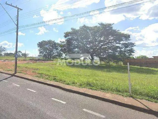Terreno / Lote para Venda em Uberlândia/MG Mansour