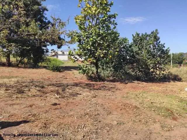 Terreno / Lote para Venda em Uberlândia/MG Mansour III