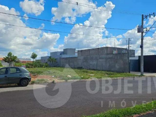 Terreno / Lote para Venda em Uberlândia/MG Minas Gerais