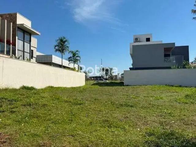 Terreno / Lote para Venda em Uberlândia/MG Nova Uberlândia