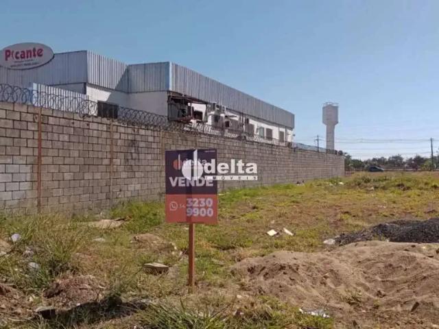 Terreno / Lote para Venda em Uberlândia/MG Novo Mundo