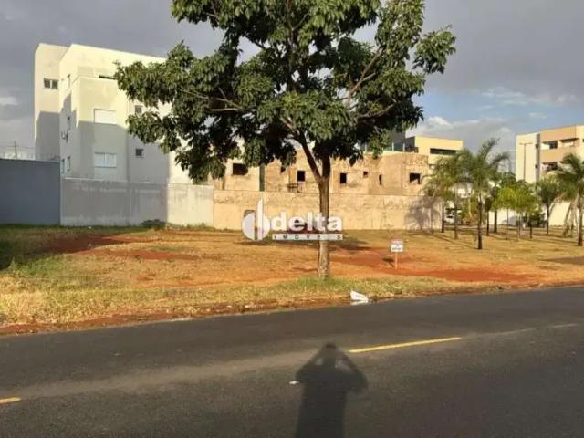 Terreno / Lote para Venda em Uberlândia/MG Novo Mundo