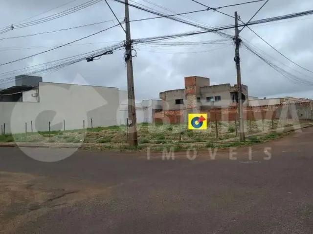 Terreno / Lote para Venda em Uberlândia/MG Novo Mundo