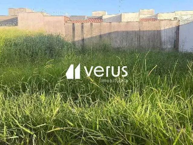 Terreno / Lote para Venda em Uberlândia/MG Novo Mundo