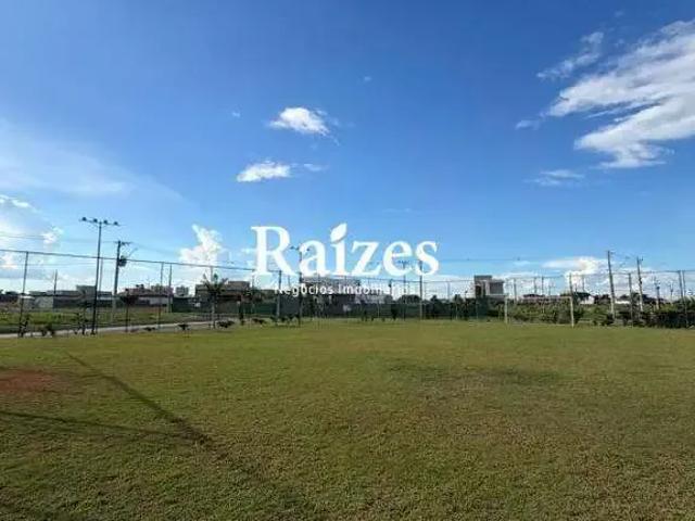 Terreno / Lote para Venda em Uberlândia/MG Novo Mundo