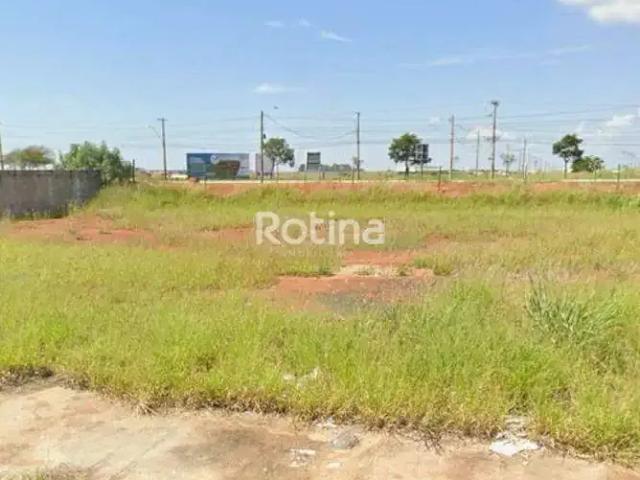 Terreno / Lote para Venda em Uberlândia/MG Novo Mundo