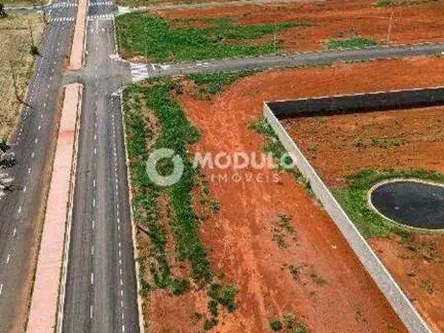 Terreno / Lote para Venda em Uberlândia/MG Novo Mundo