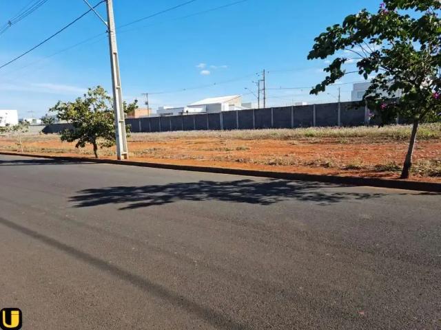 Terreno / Lote para Venda em Uberlândia/MG Novo Mundo