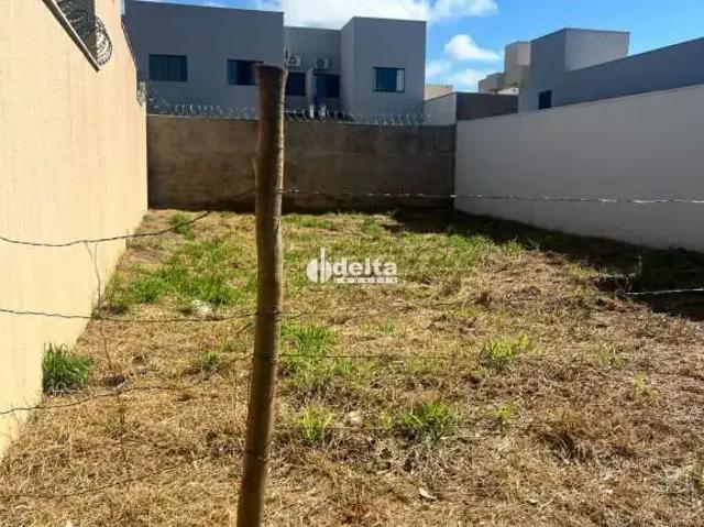 Terreno / Lote para Venda em Uberlândia/MG Novo Mundo