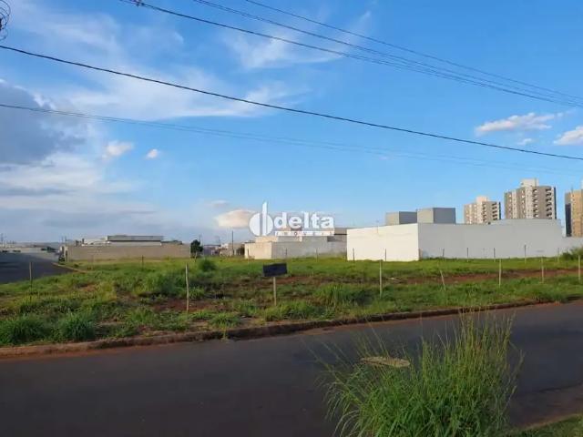 Terreno / Lote para Venda em Uberlândia/MG Novo Mundo