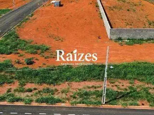 Terreno / Lote para Venda em Uberlândia/MG Novo Mundo