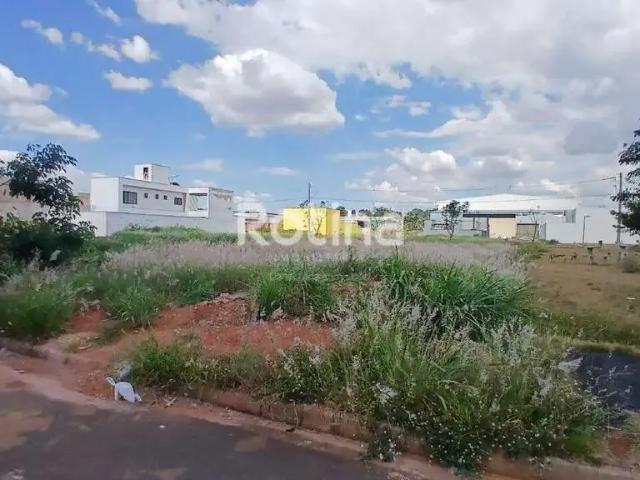 Terreno / Lote para Venda em Uberlândia/MG Novo Mundo