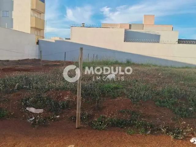 Terreno / Lote para Venda em Uberlândia/MG Novo Mundo