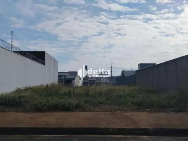 Terreno / Lote para Venda em Uberlândia/MG Novo Mundo