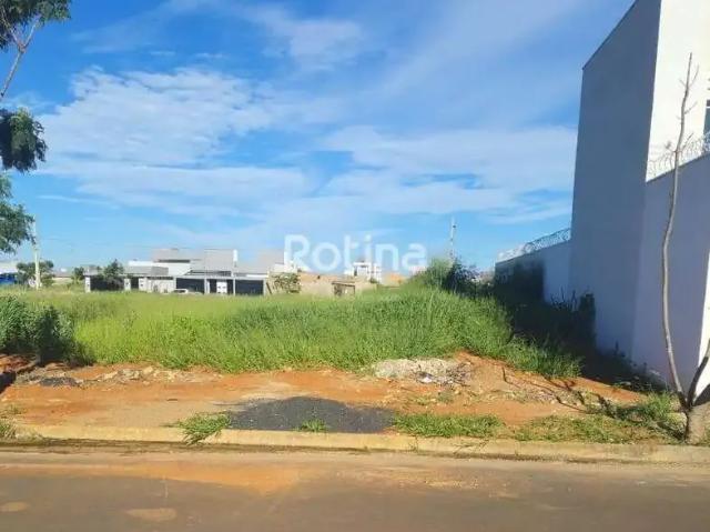 Terreno / Lote para Venda em Uberlândia/MG Novo Mundo