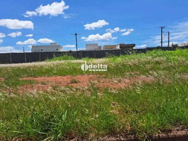 Terreno / Lote para Venda em Uberlândia/MG Novo Mundo