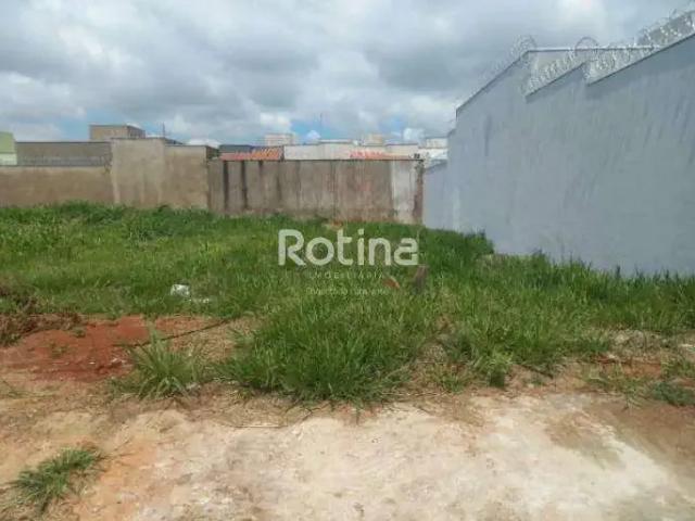 Terreno / Lote para Venda em Uberlândia/MG Novo Mundo