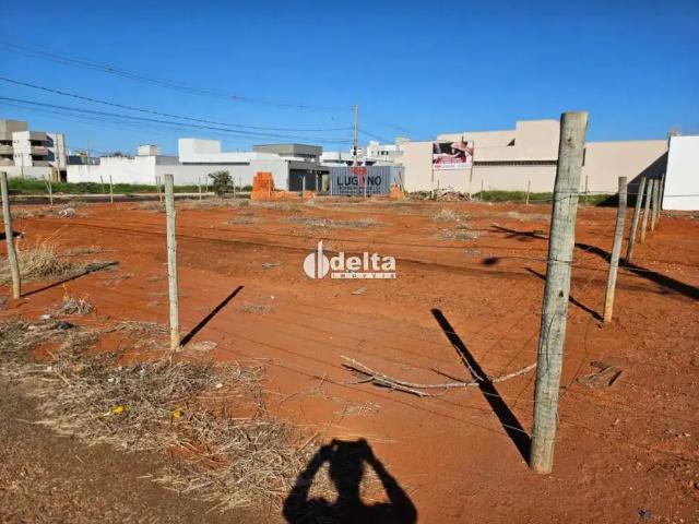 Terreno / Lote para Venda em Uberlândia/MG Novo Mundo