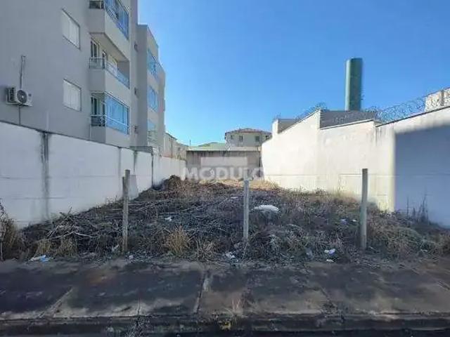 Terreno / Lote para Venda em Uberlândia/MG Novo Mundo