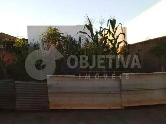 Terreno / Lote para Venda em Uberlândia/MG São Jorge