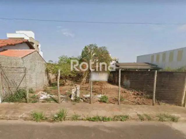 Terreno / Lote para Venda em Uberlândia/MG Santa Mônica