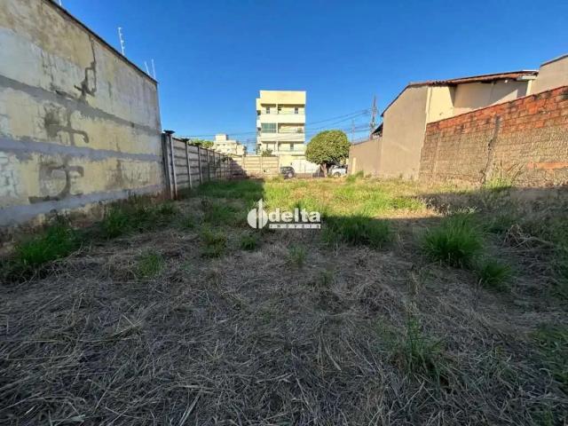 Terreno / Lote para Venda em Uberlândia/MG Santa Mônica