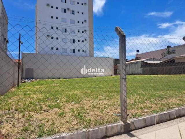 Terreno / Lote para Venda em Uberlândia/MG Santa Mônica