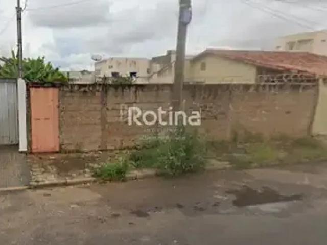 Terreno / Lote para Venda em Uberlândia/MG Santa Mônica
