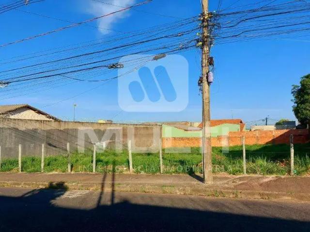Terreno / Lote para Venda em Uberlândia/MG Santa Mônica 1 Quartos