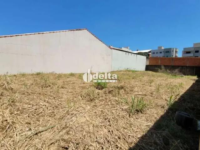Terreno / Lote para Venda em Uberlândia/MG Santa Mônica