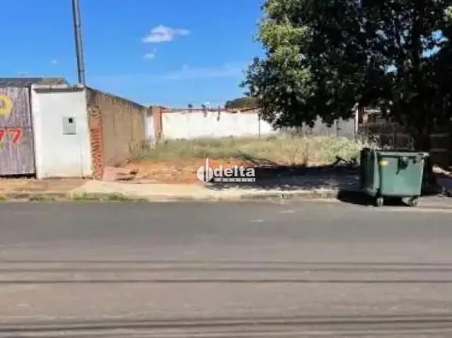 Terreno / Lote para Venda em Uberlândia/MG Santa Mônica