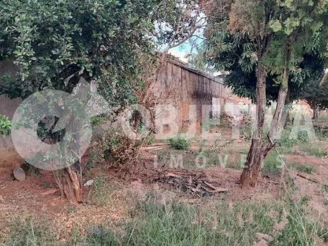 Terreno / Lote para Venda em Uberlândia/MG Santa Mônica