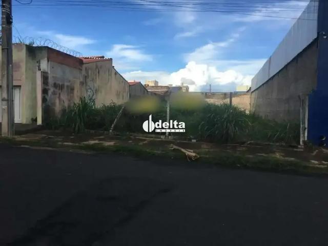 Terreno / Lote para Venda em Uberlândia/MG Santa Mônica