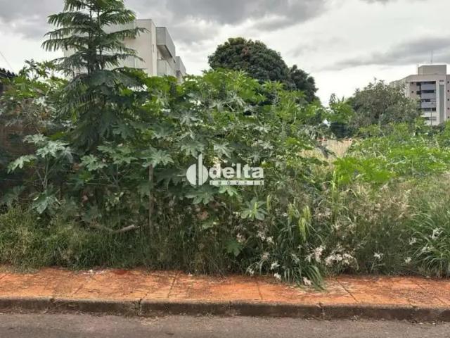 Terreno / Lote para Venda em Uberlândia/MG Santa Mônica