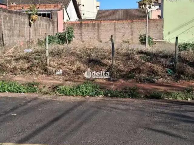 Terreno / Lote para Venda em Uberlândia/MG Santa Mônica