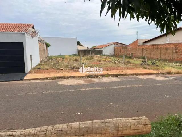 Terreno / Lote para Venda em Uberlândia/MG Santa Mônica